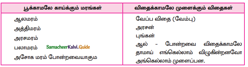 Samacheer Kalvi 9th Tamil Guide Chapter 5.3 சிறுபஞ்சமூலம் – TN Board ...