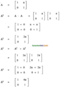 Samacheer Kalvi 11th Maths Guide Chapter 7 Matrices and Determinants Ex ...