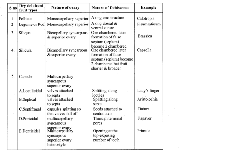Samacheer Kalvi 11th Bio Botany Guide Chapter 4 Reproductive Morphology ...