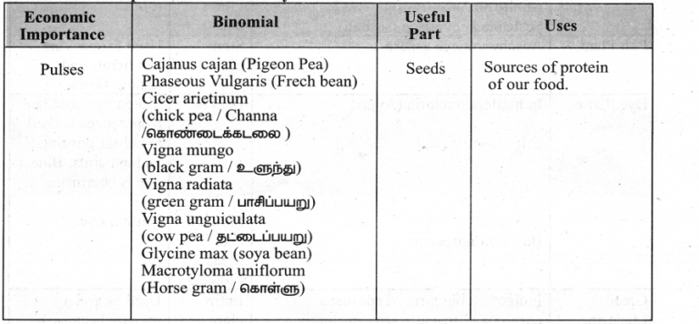 Samacheer Kalvi 11th Bio Botany Guide Chapter 5 Taxonomy and Systematic ...