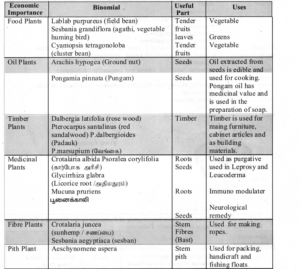 Samacheer Kalvi 11th Bio Botany Guide Chapter 5 Taxonomy and Systematic ...
