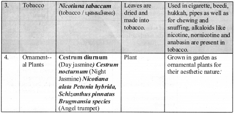 Samacheer Kalvi 11th Bio Botany Guide Chapter 5 Taxonomy and Systematic ...